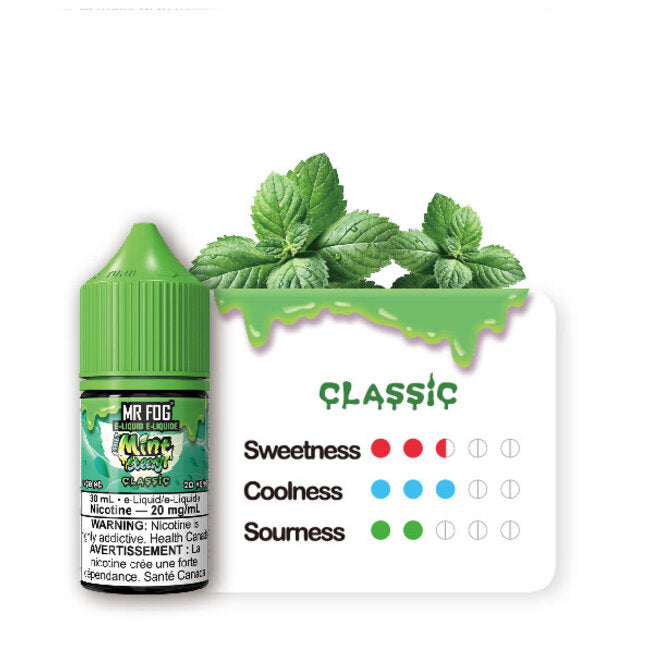 Mr Fog Salt Nic Mint Steezy - Classic – BlazenHaze